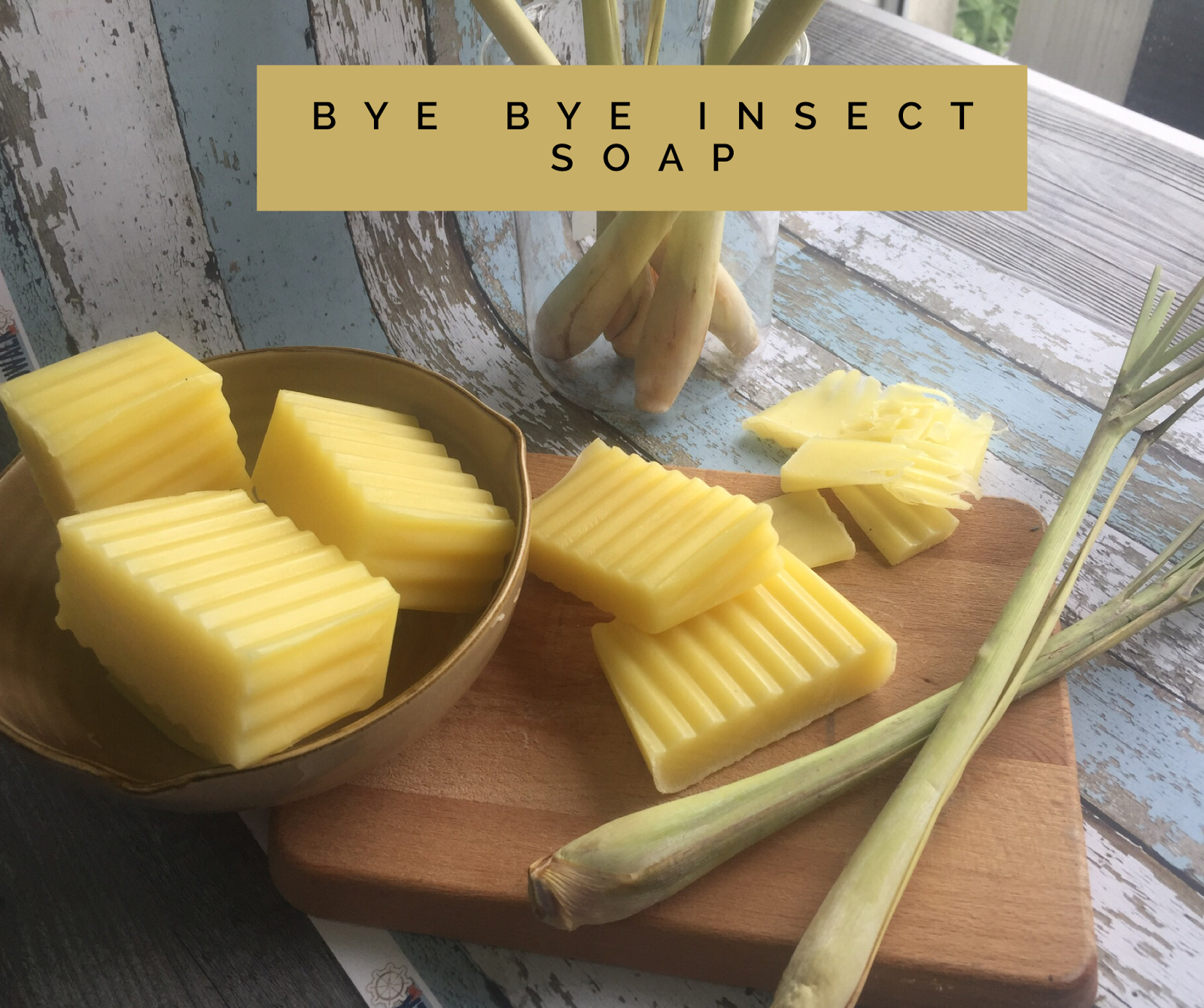 SoapLab Malaysia: How To Make: Bye Bye Insect Soap