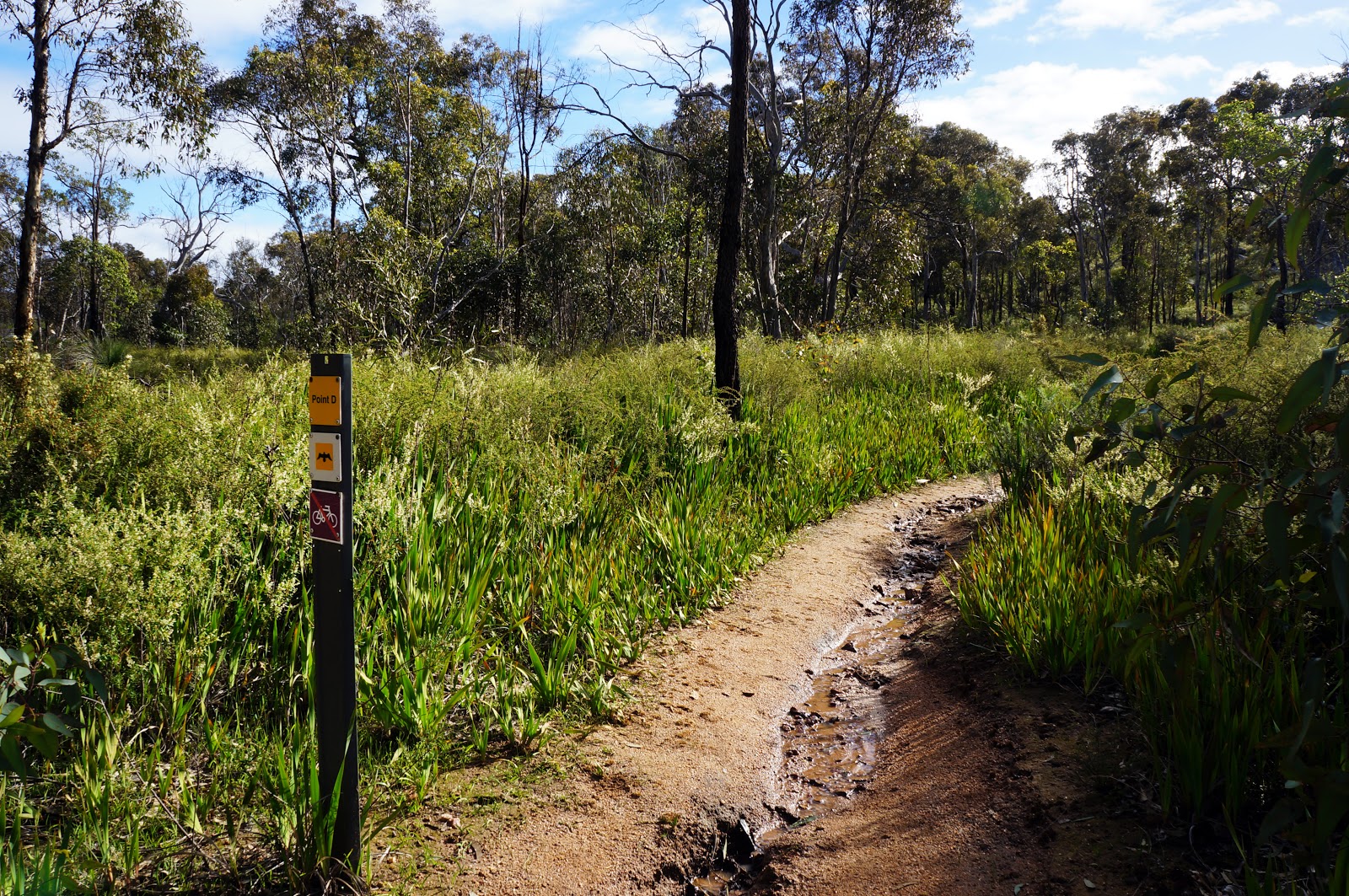 Eagle View Walk Trail (John Forrest National Park) ~ The Long Way's Better