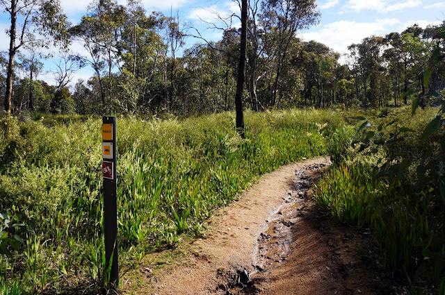 Eagle View Walk Trail (John Forrest National Park) ~ The Long Way's Better