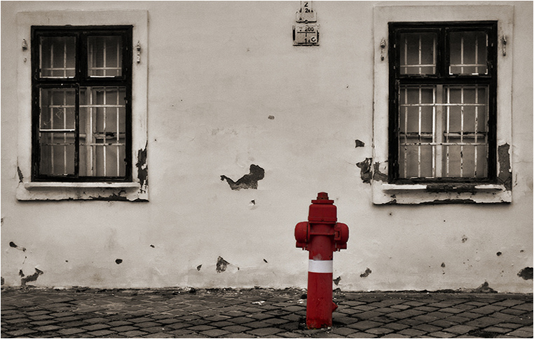 The Best Photos of the Day: February 19, 2013