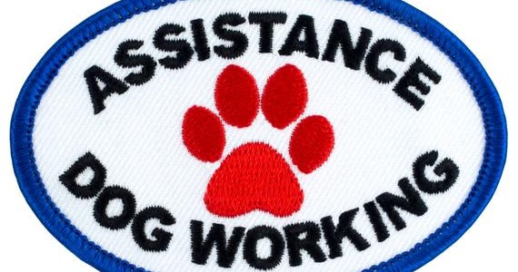 Yestraining For Dogs: Assistance Dogs