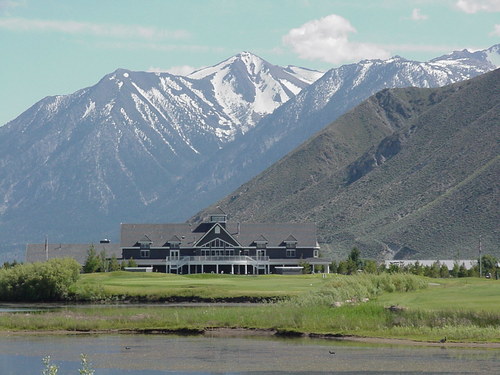 Hanging Trees Genoa Nevada