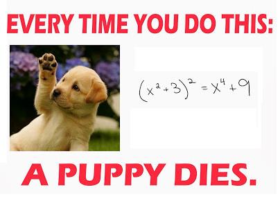 Beautiful Math: Polynomials and Polynomial Operations