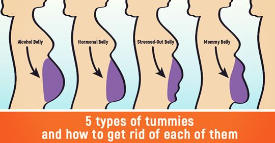5 Types Of Tummies And How To Get Rid Of Each Of Them ~ NEWSOLOGIES
