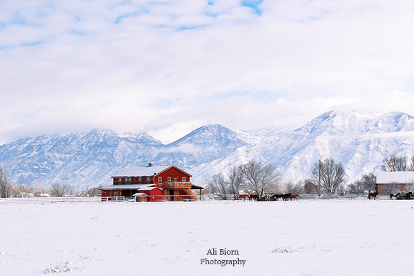 Colorful Barn in the Snow - Ali Biorn Photography