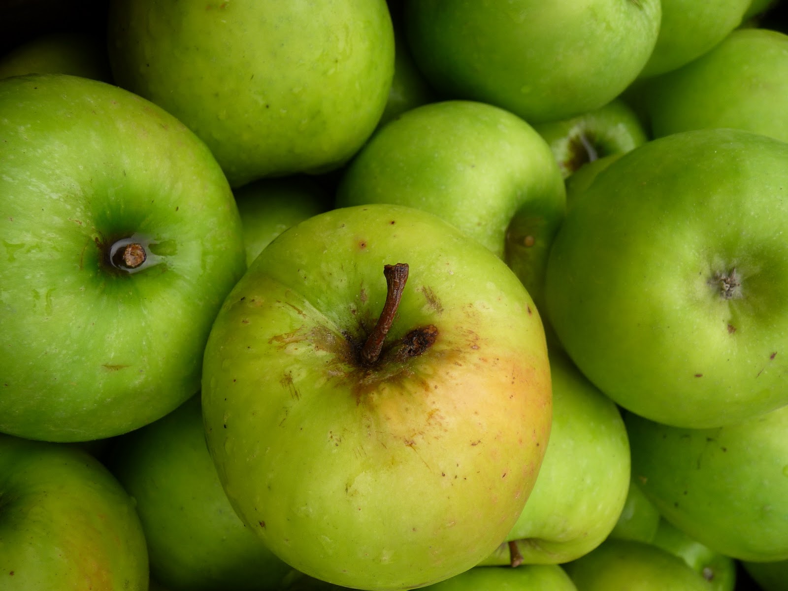 Four Eyes Forum: Autumn = Apples, Apples And Apples