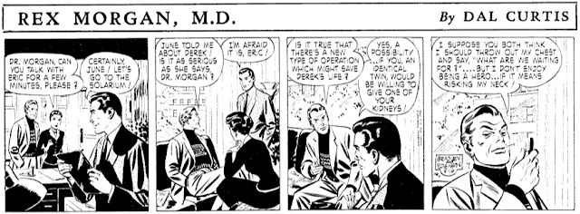 In Search of Rex Morgan, MD: 1958 Comic Strips: A Summary