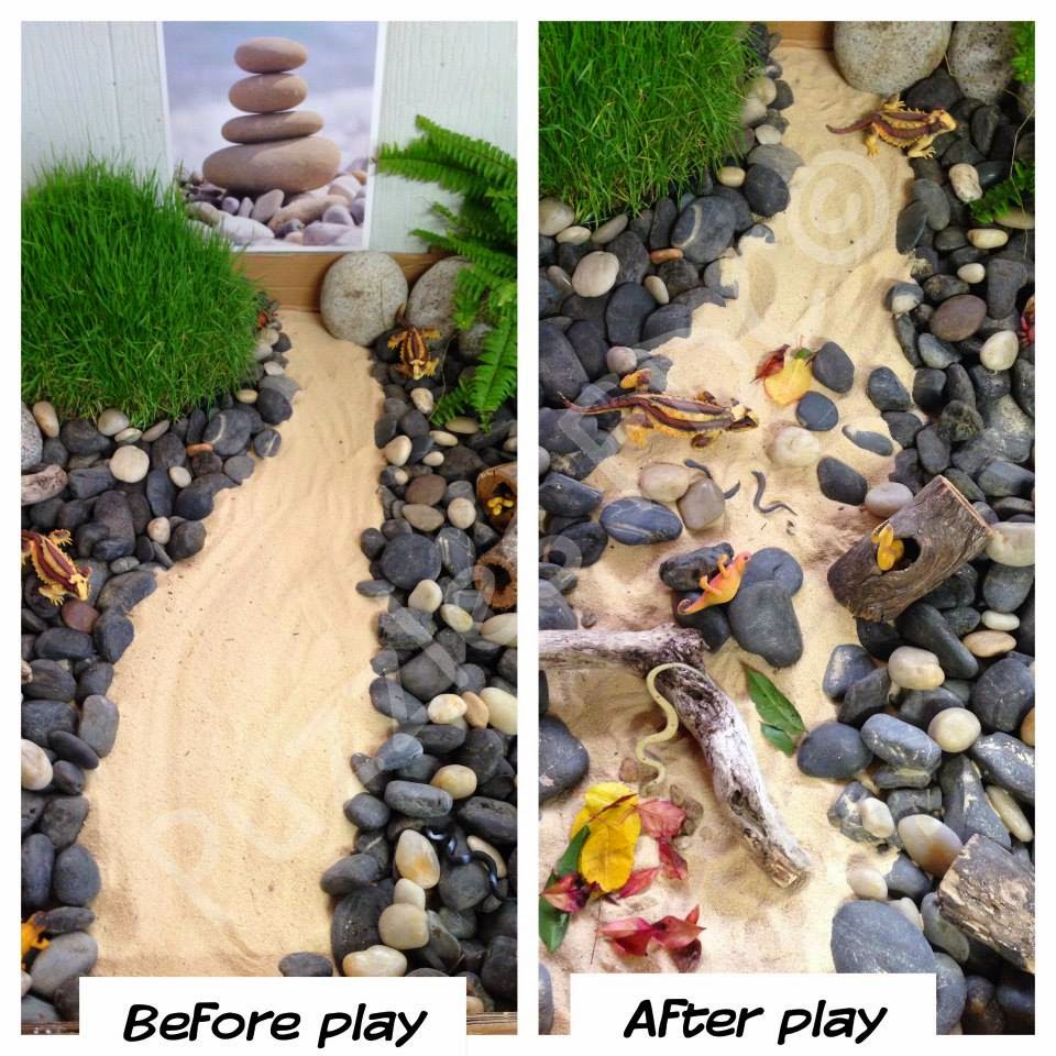 Learning and Exploring Through Play: Lizard Small World Play