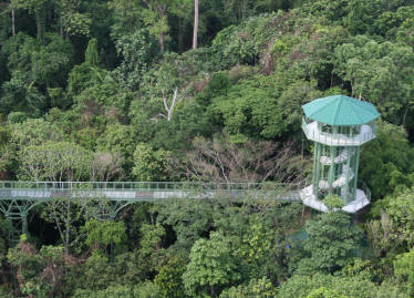 my choice: RDC sepilok