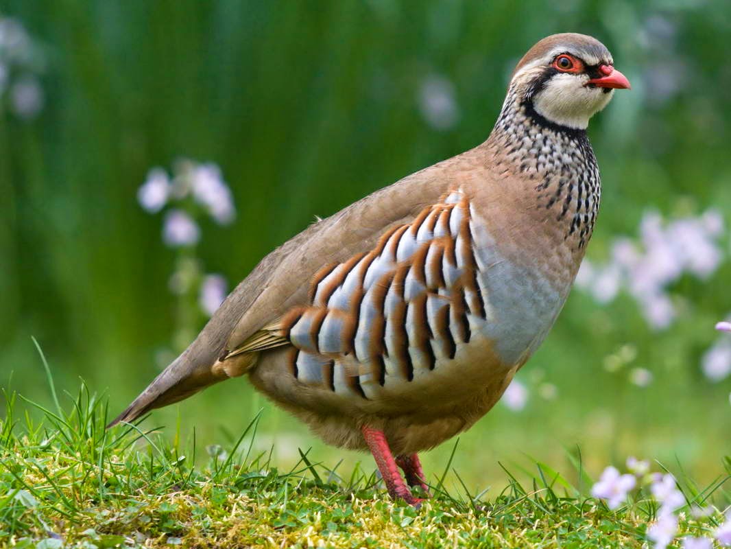 August 2014 - DreamForth