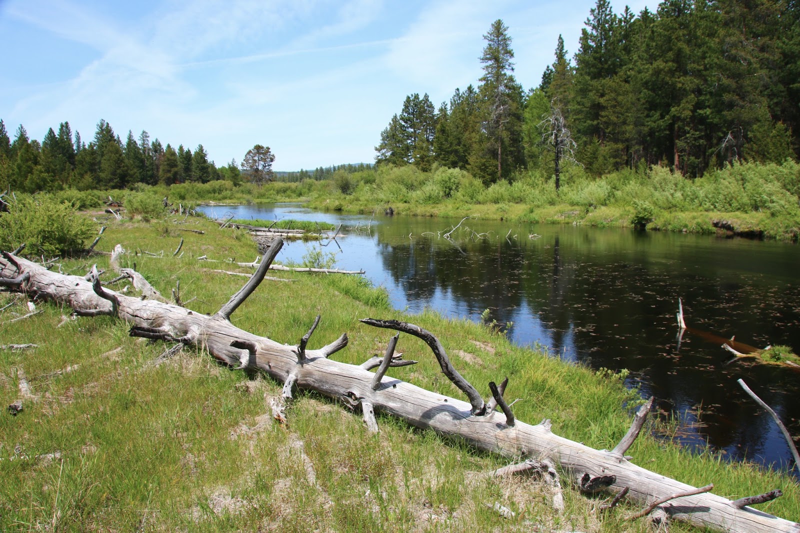 Travels with Twinkles: Chiloquin, Oregon, Lumber and the Klamath tribe