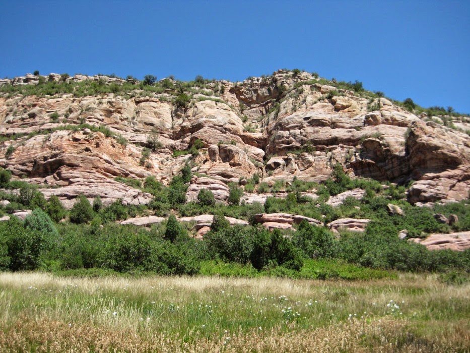 Woven Minutia: Hiking in South Valley Park