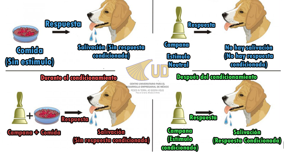 El Paradigma Conductista