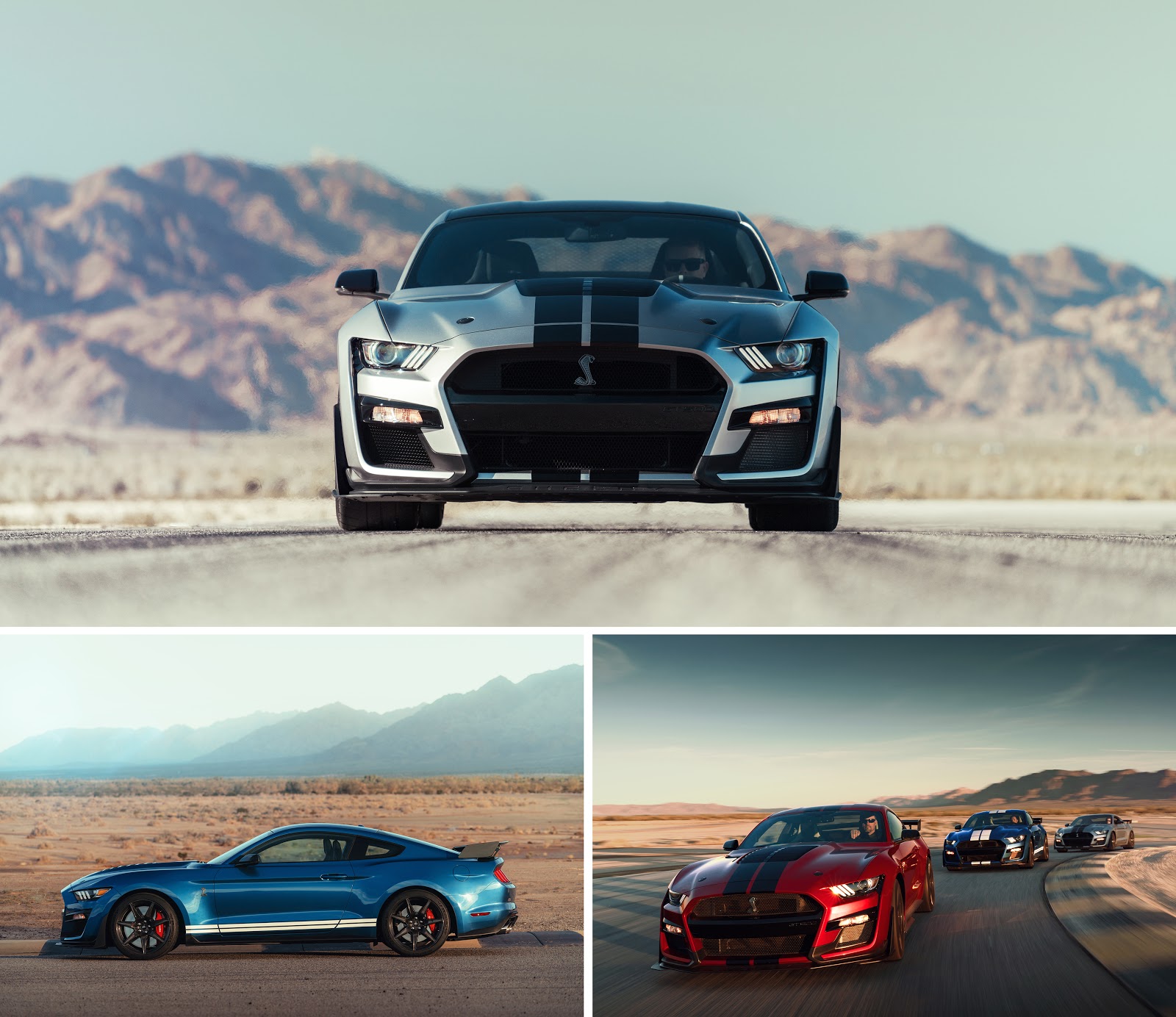 Ford Mustang Shelby GT500