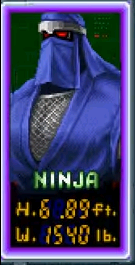 Mordecai Gamer's: The Ninja Warriors (SNES/Sfc)