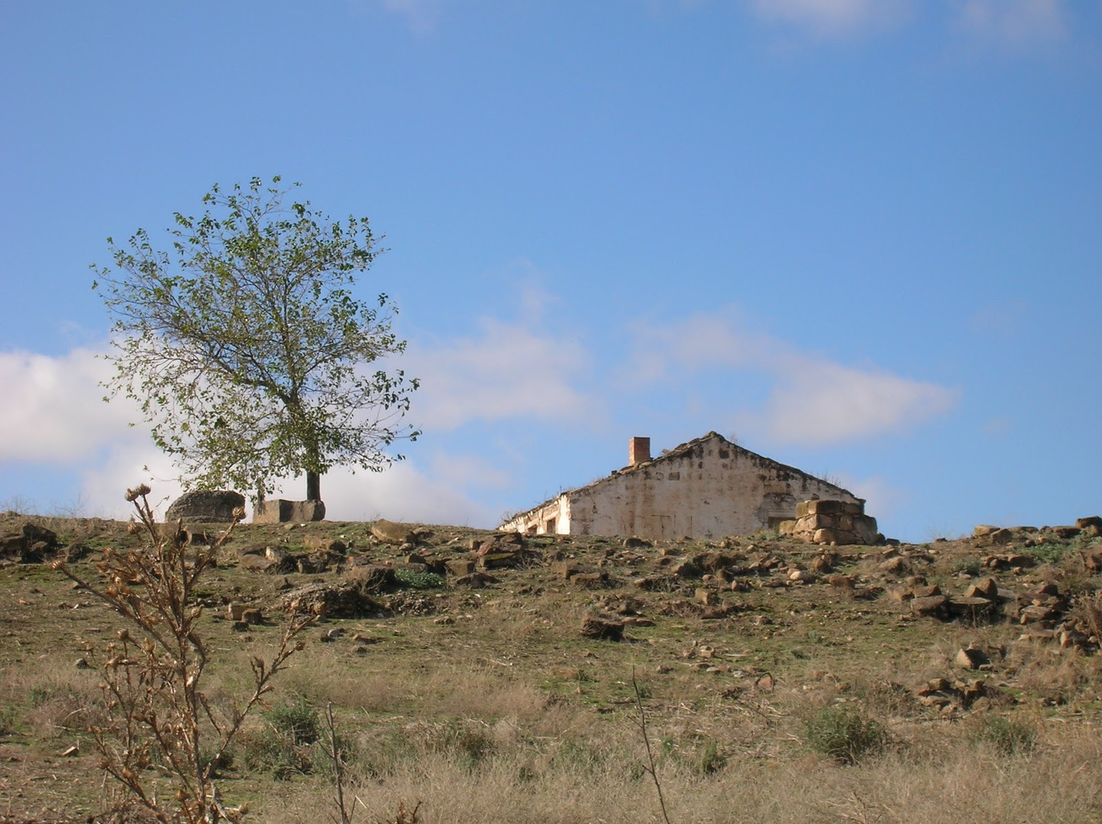 Marketing, Arte y Nuevas Tendencias: Cástulo: Tesoros Escondidos ...