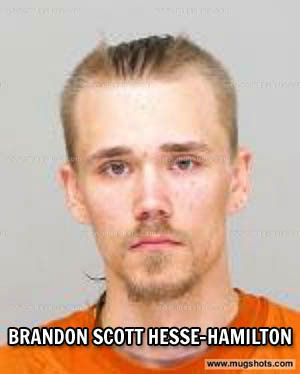 Four legged friends (and enemies): Minnesota: Brandon Hesse Hamilton ...