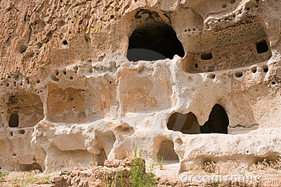 PT Designs: Trends in Interior Design: Prehistoric