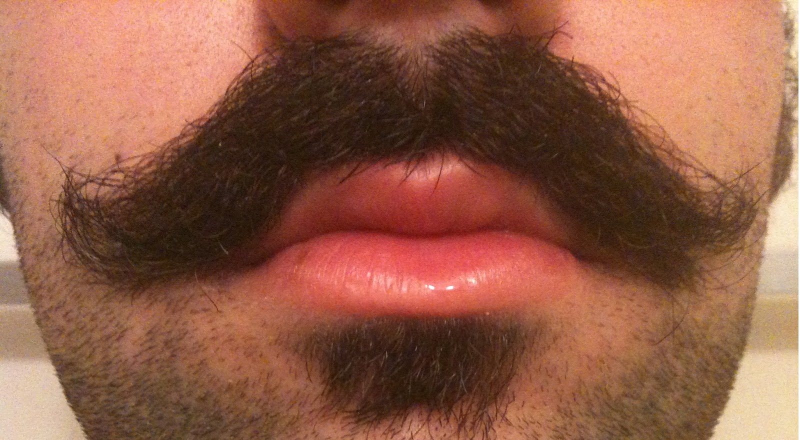 Orientalism and the Age of Steam: Movember and the Qajar Mustachio Project