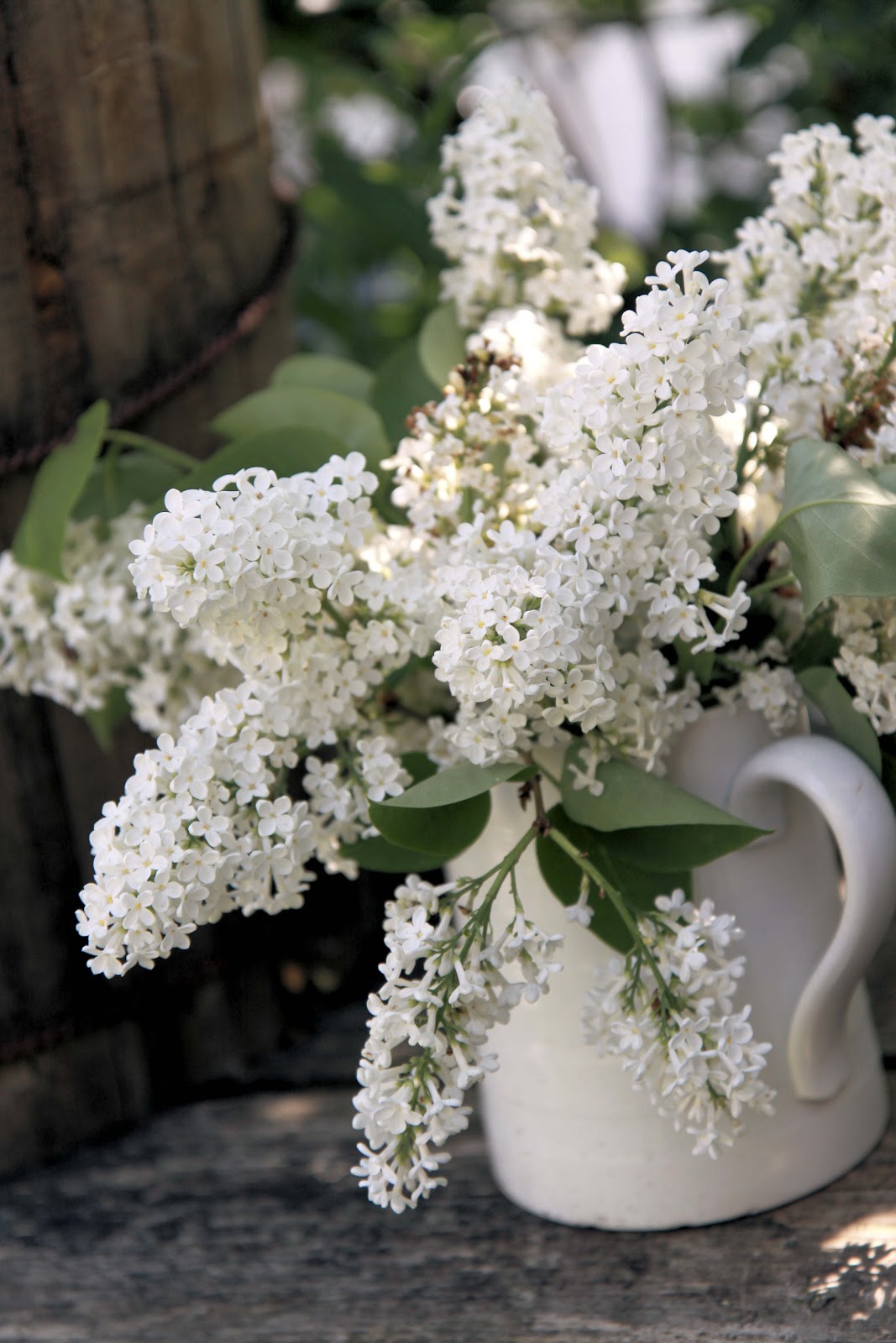 Modern Country: Fresh picked Lilacs