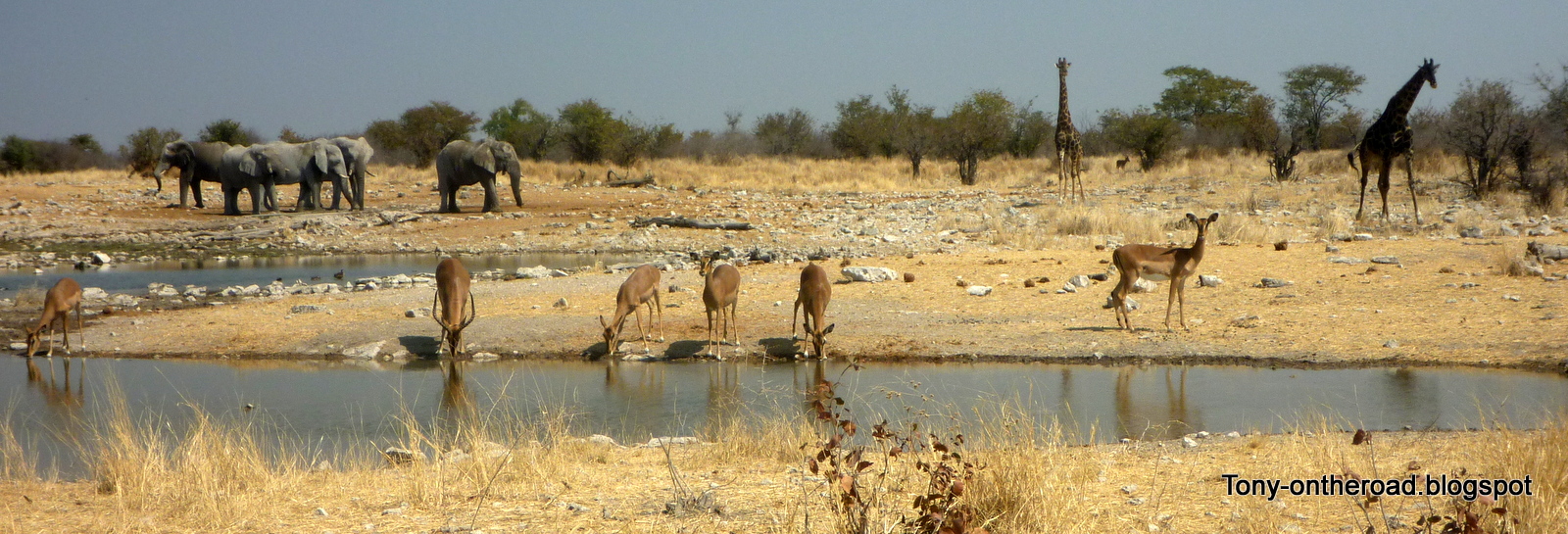 Africa: Winter in Namibia