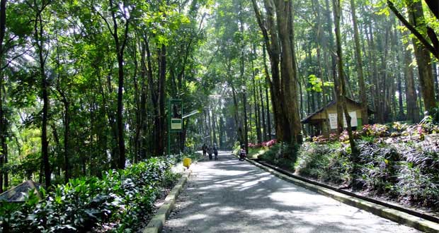 10 Tempat Wisata Alam Di Bandung Yang Wajib Dikunjungi