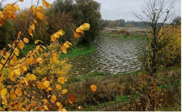 animowanegifkijesiennemireczki: Animowane obrazki i gify - jesienne pejzaże