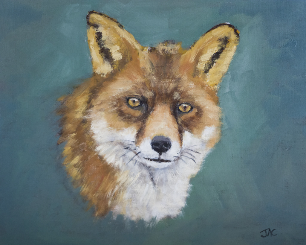 Bird and Wildlife Photos from Somerset and Devon : Painting a Fox in Oils