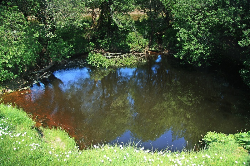 Land of the Fae: Shannon Pot and the hunt for the Salmon of Knowledge