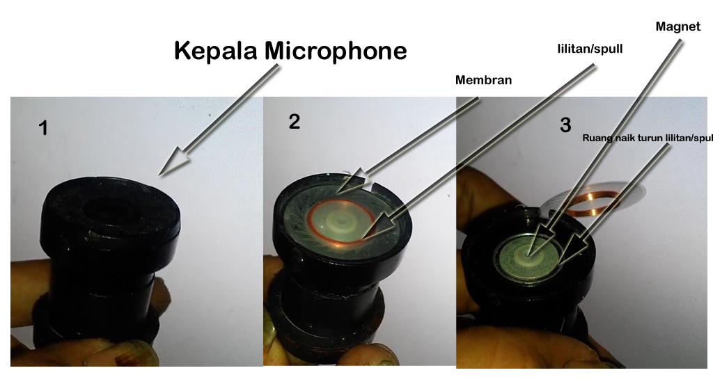 Membahas Bagian Dalam Microphone Para Vokalis - Belajar Audio Musik