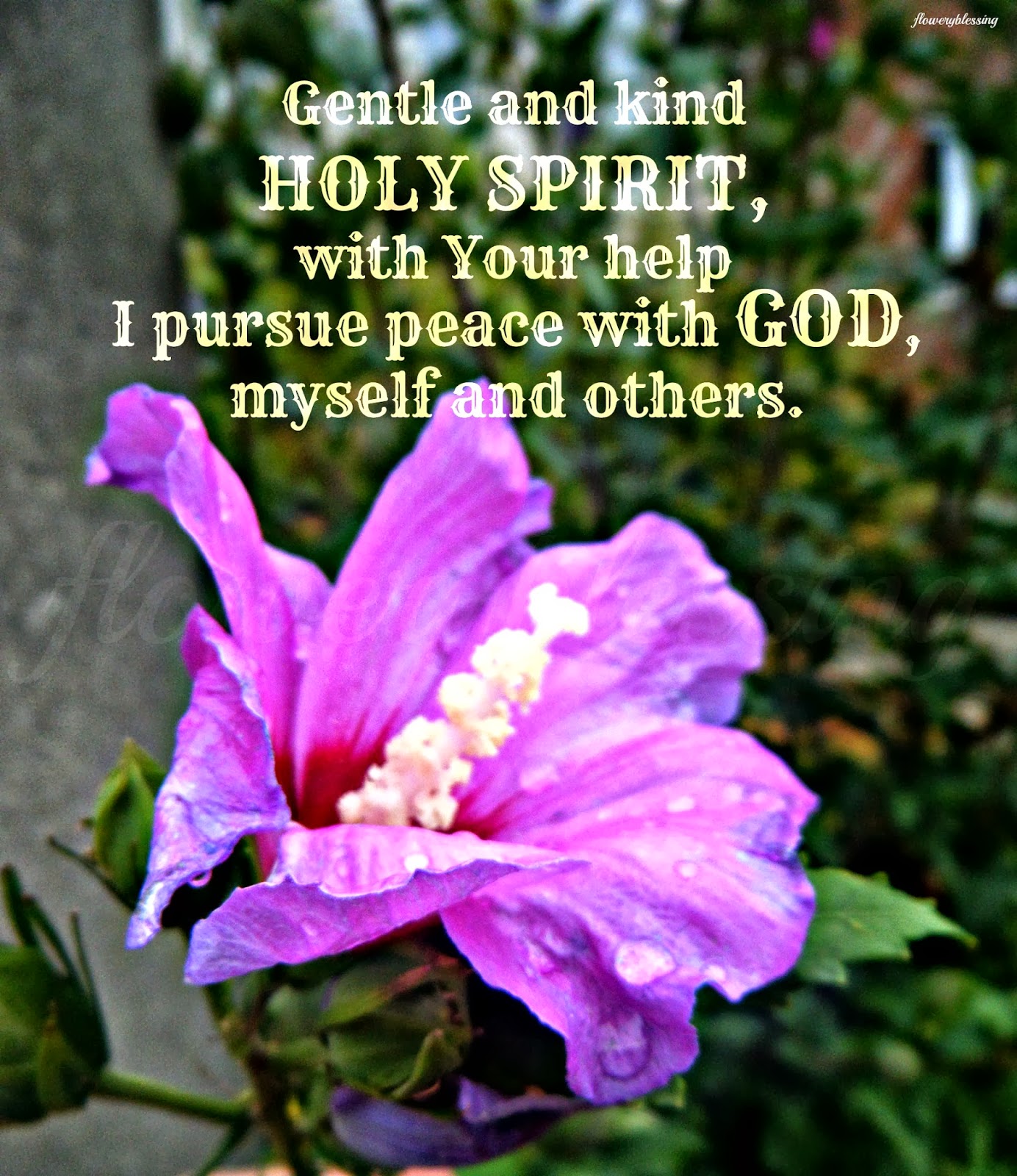 Flowery Blessing: Gentle and kind HOLY SPIRIT, with Your help I pursue ...