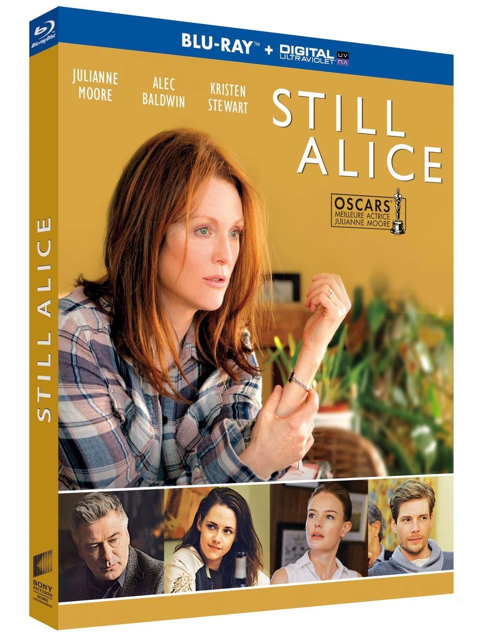 Robert & Kristen: Still Alice: date de sortie du DVD/Blu-Ray du film en ...