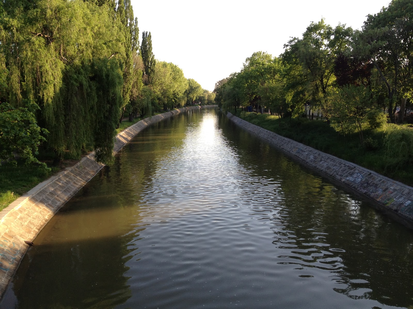 Ploaia de cuvinte: Raul Bega si frumoasele sale poduri