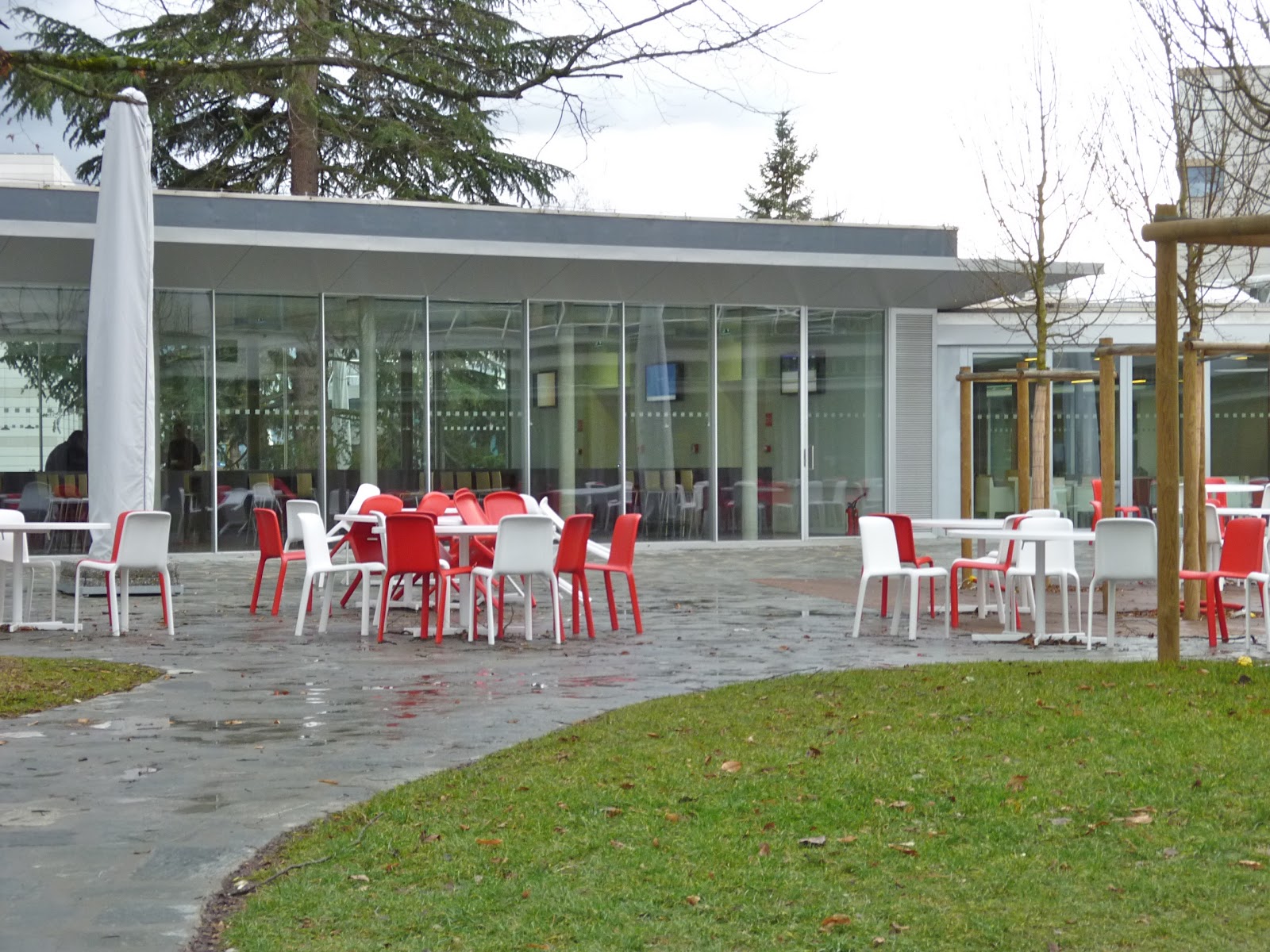 CERN Wife: The CERN Cafeteria
