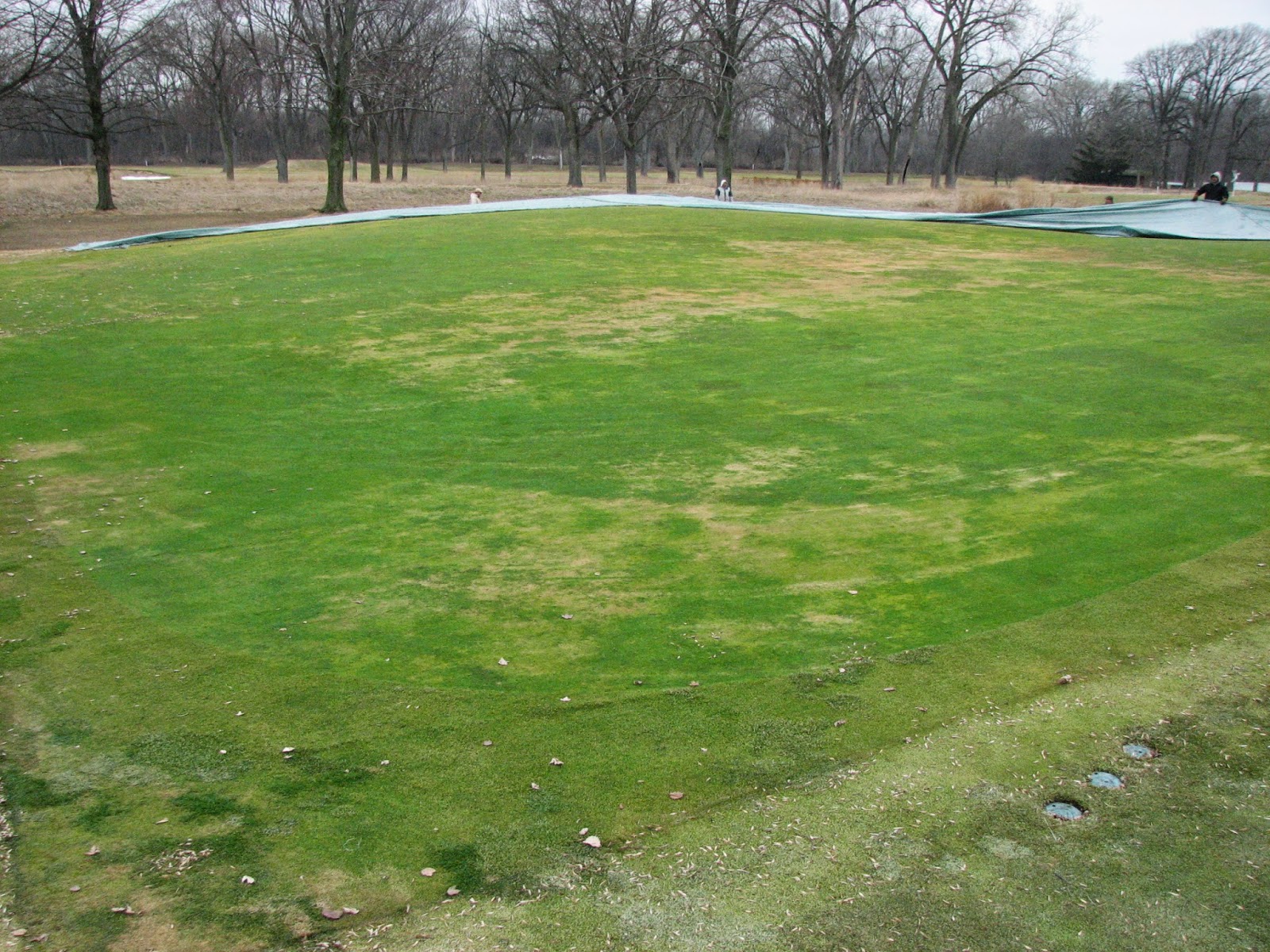 Skokie Country Club Golf Course Management