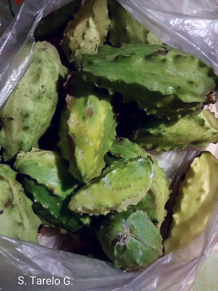 Jaime Ramos Méndez: Frutos del campo michoacano - Chicuipos ...