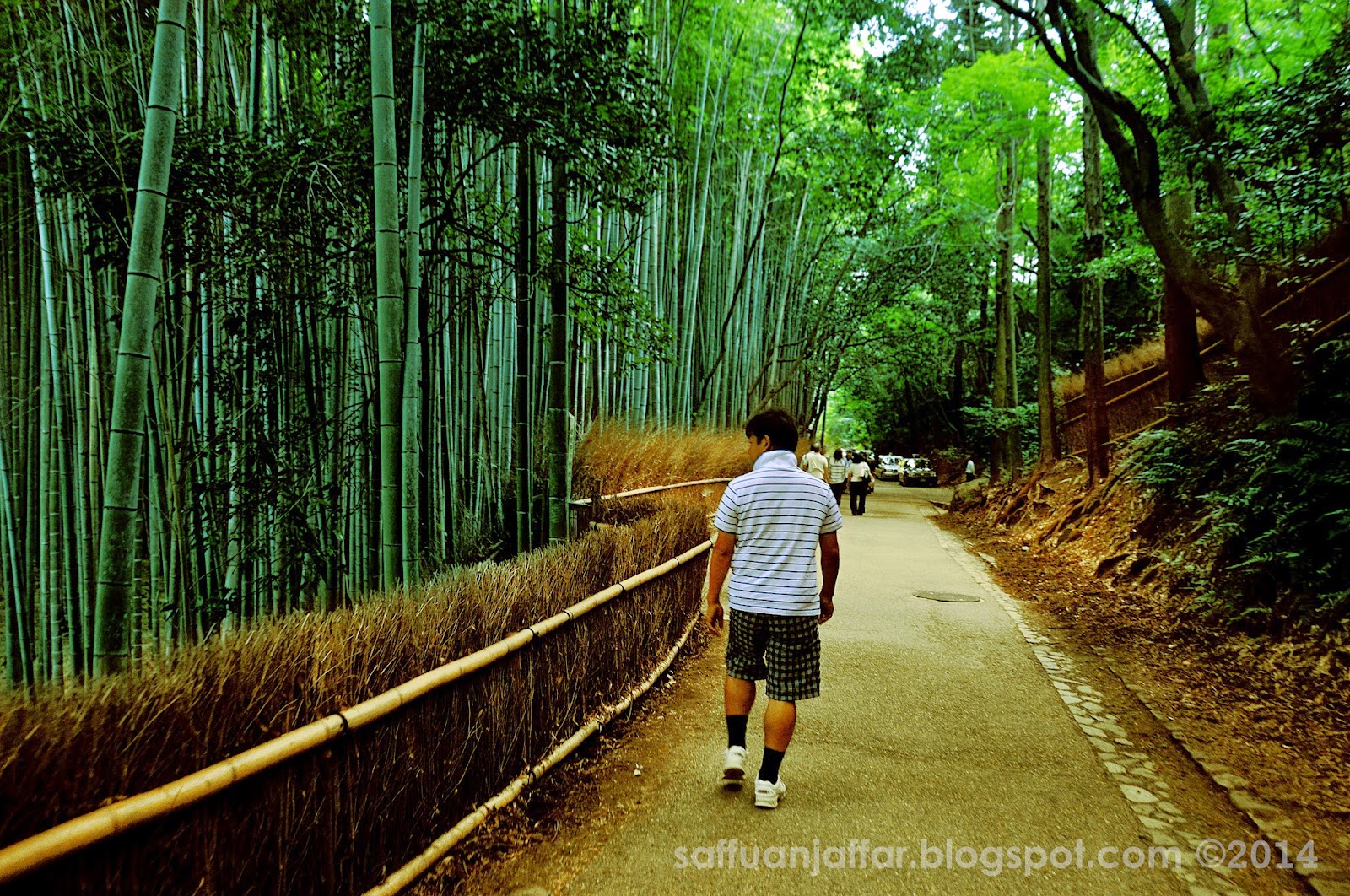 Saffuan Jaffar Blog Travel: Trip Bercuti di Jepun | Arashiyama Mystical ...