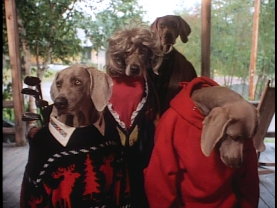 A Penny in the Well: Penny Thoughts ‘12—The Hardly Boys in Hardly Gold ...