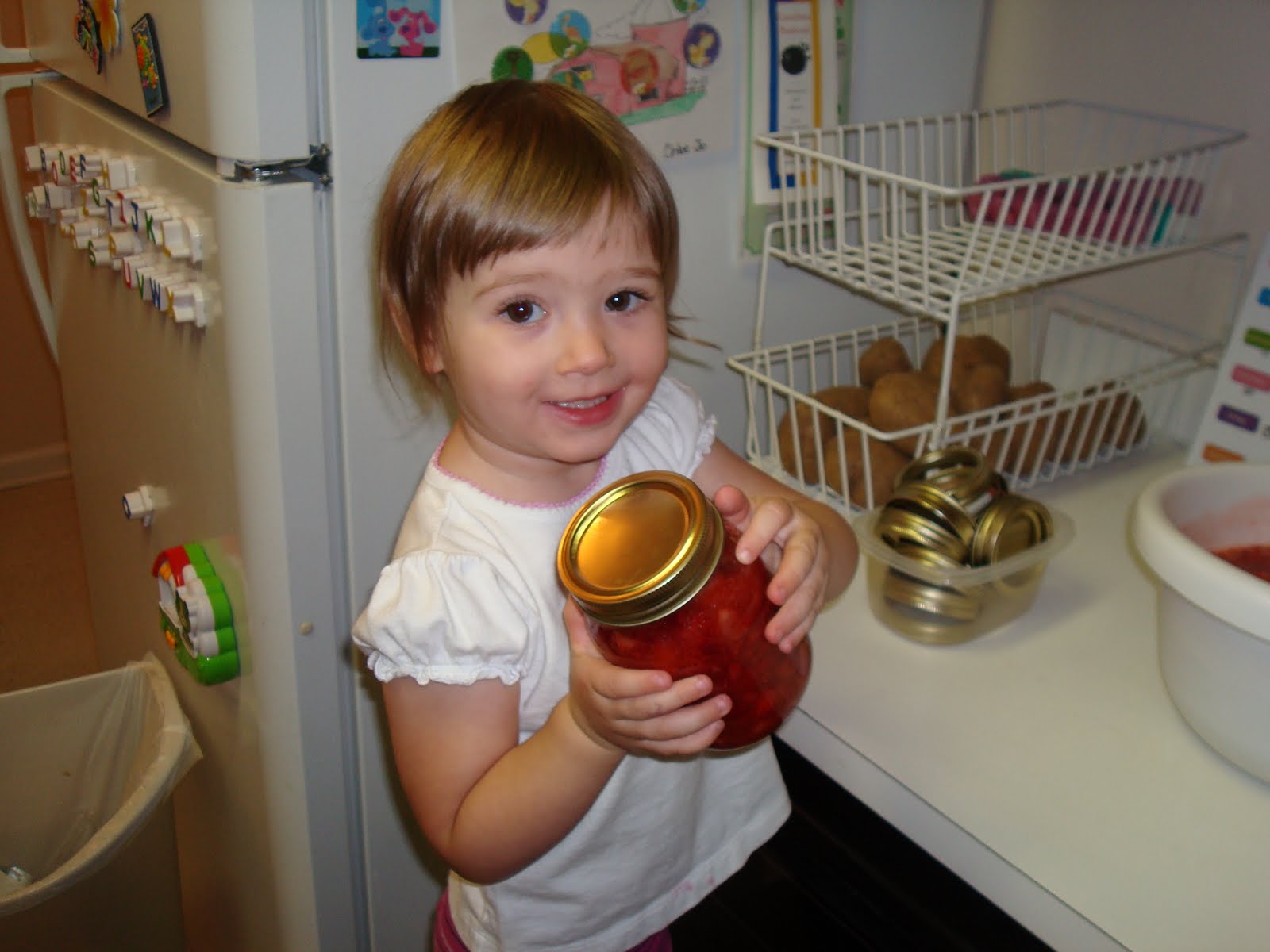 A day in the life of Preachmans Wife: Mini Slurp Maker