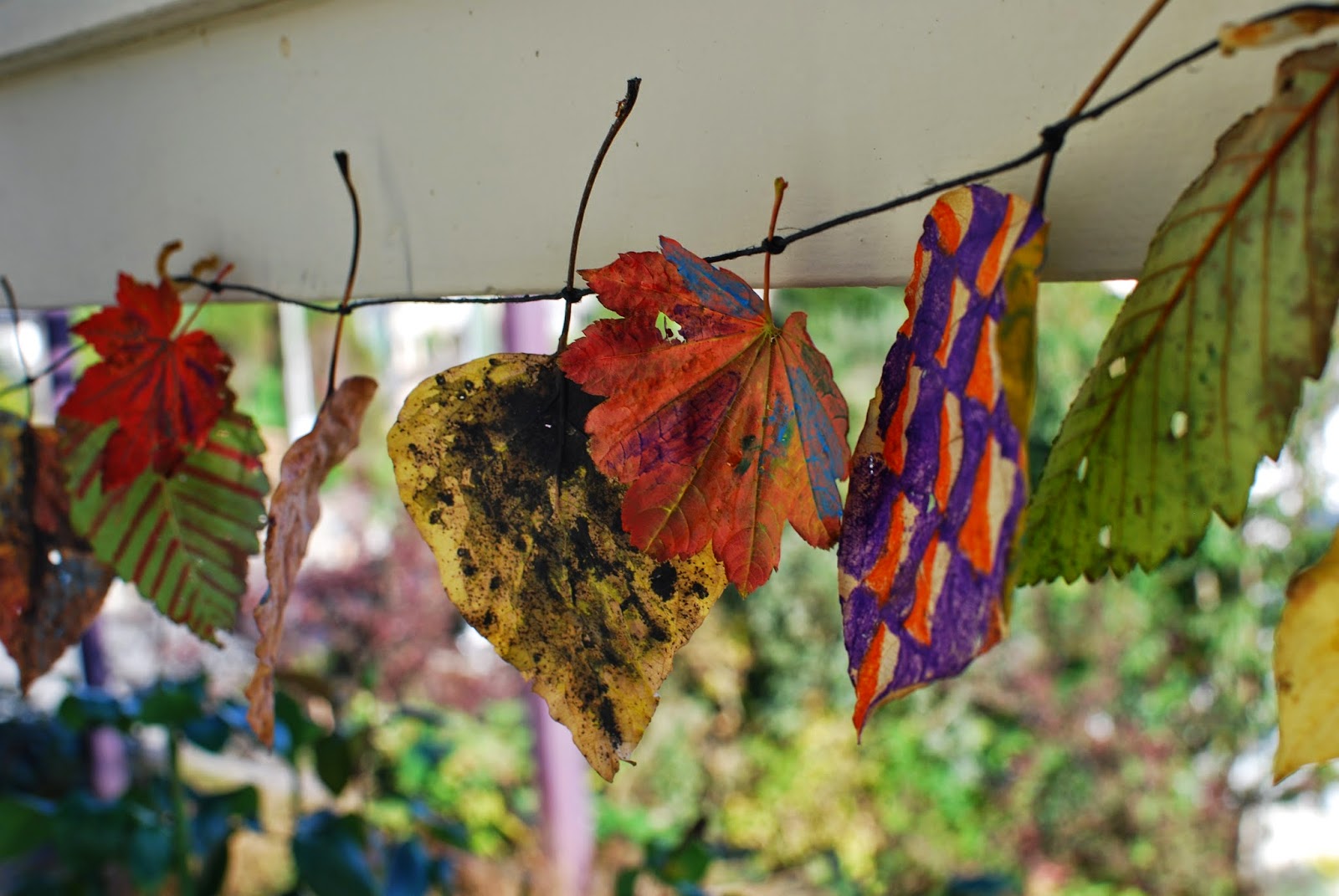 Every Single Thing About You