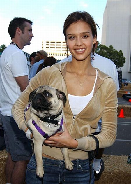 Zarah's Tail Swing: Dogs and Celebrity Owners