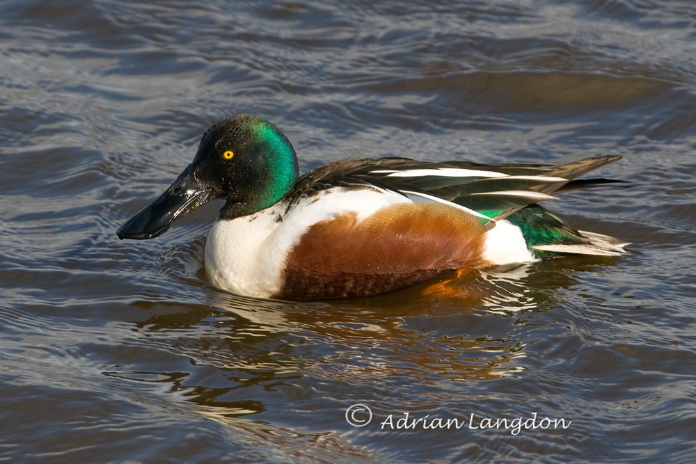 images-naturally!: March 2013