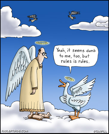 SUMMARIZE STORIES: Fictions and Non-Fictions: A Lesson from the Duck