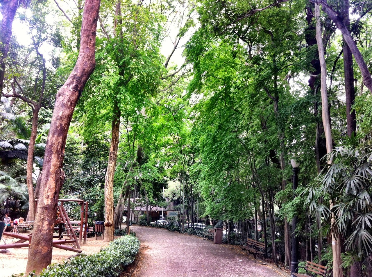 Parque Trianon ou Tenente Siqueira Campos em São Paulo ~ Áreas Verdes ...