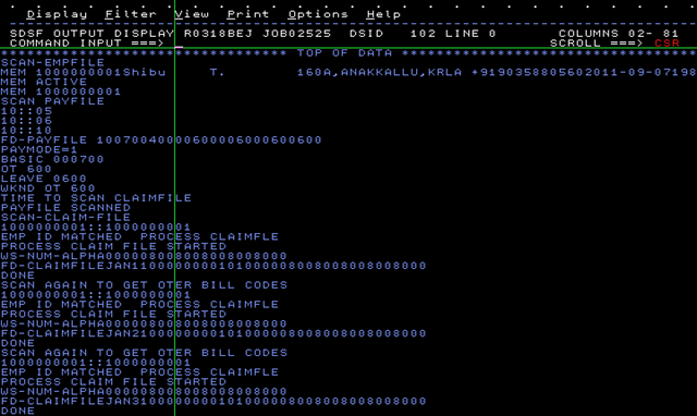 IBM Mainframes: How to keep your mainframes session always active?