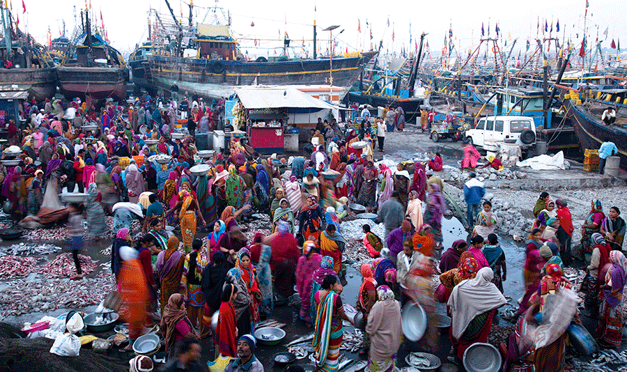 CASE STUDY OF VERAVAL FISHING HARBOUR