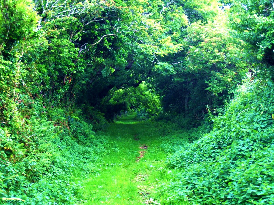 Welsh Tract Publications: ASK FOR THE OLD PATHS...