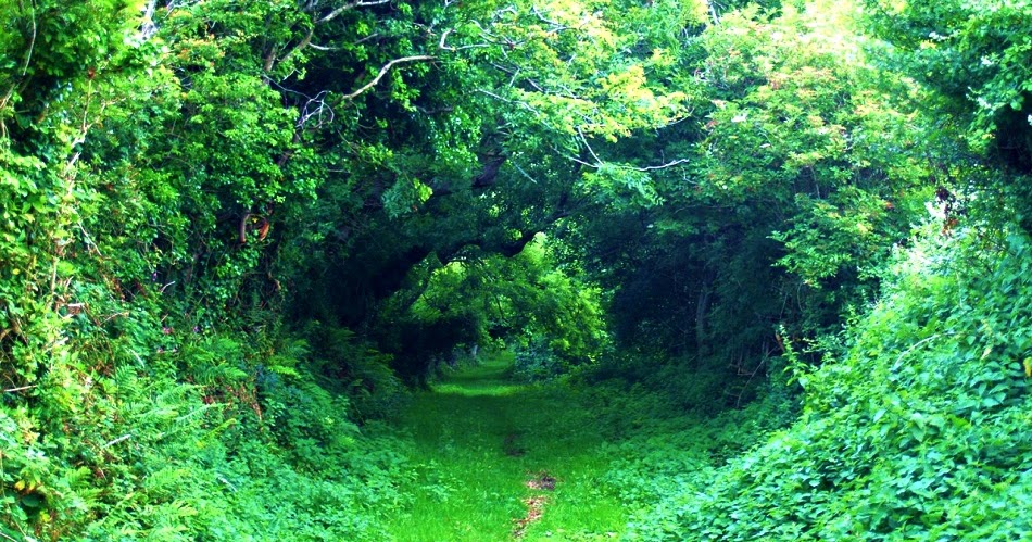 Welsh Tract Publications: ASK FOR THE OLD PATHS...