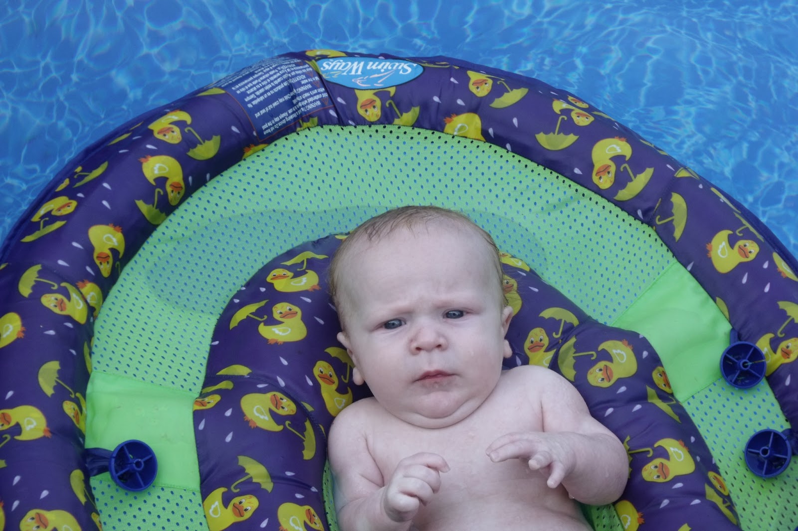 Blue World Pools: Blue World Pools (Photos)