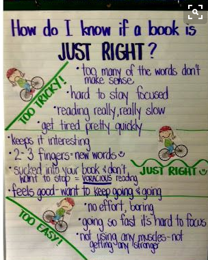 Toad-ally Exceptional Learners: Ideas in Selecting "Just Right" Books